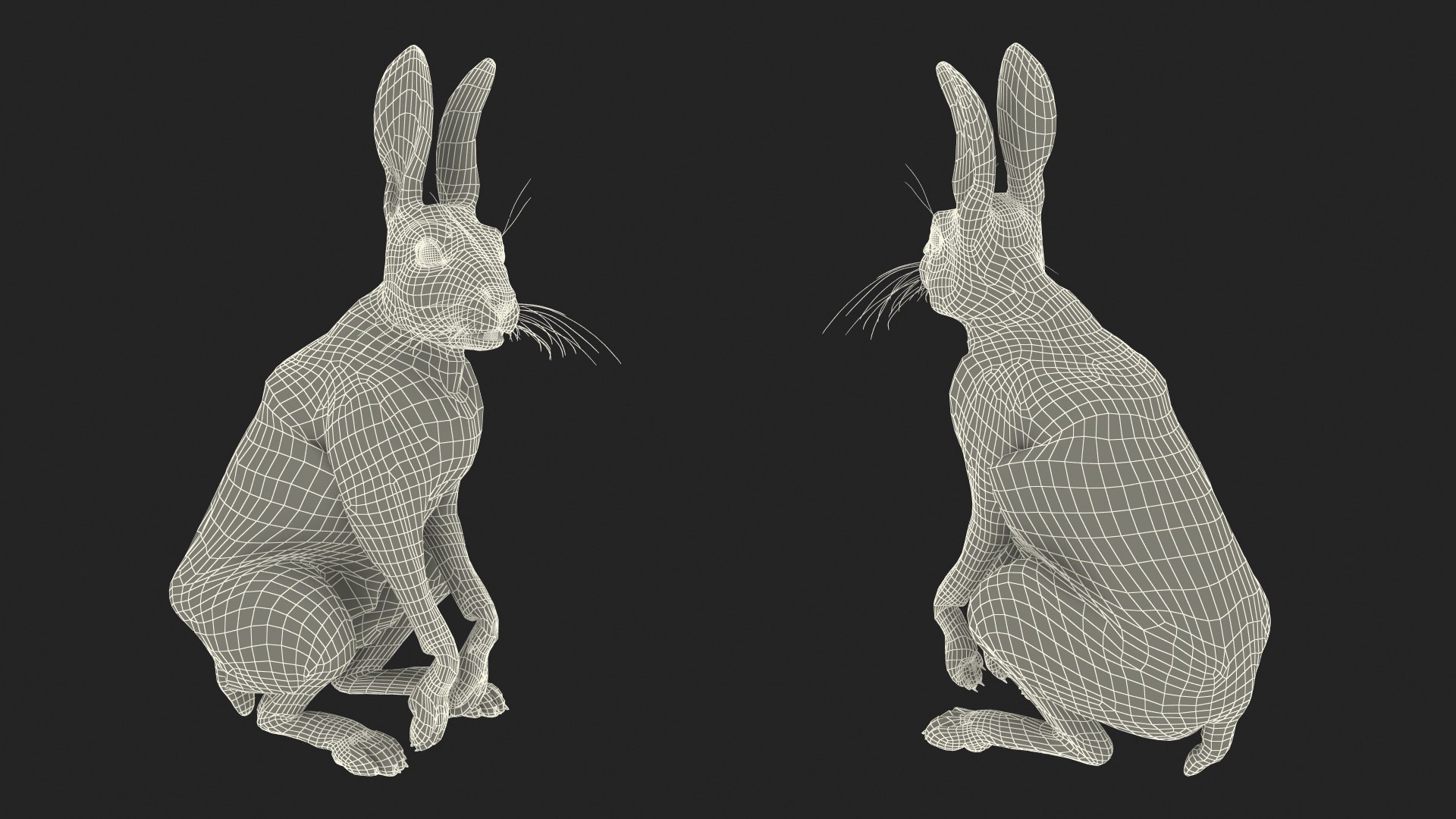 Hare Animated Rigged For Cinema 4D 3D Model - TurboSquid 2270204