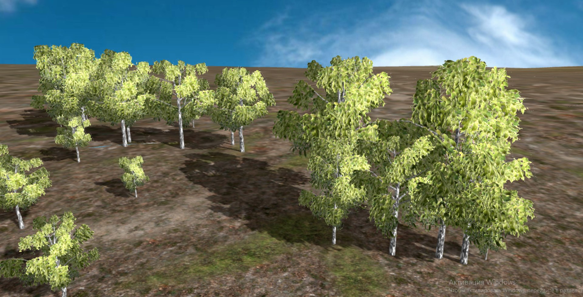 Birch Tree PBR Low-poly Game Ready 3D Model - TurboSquid 1962371
