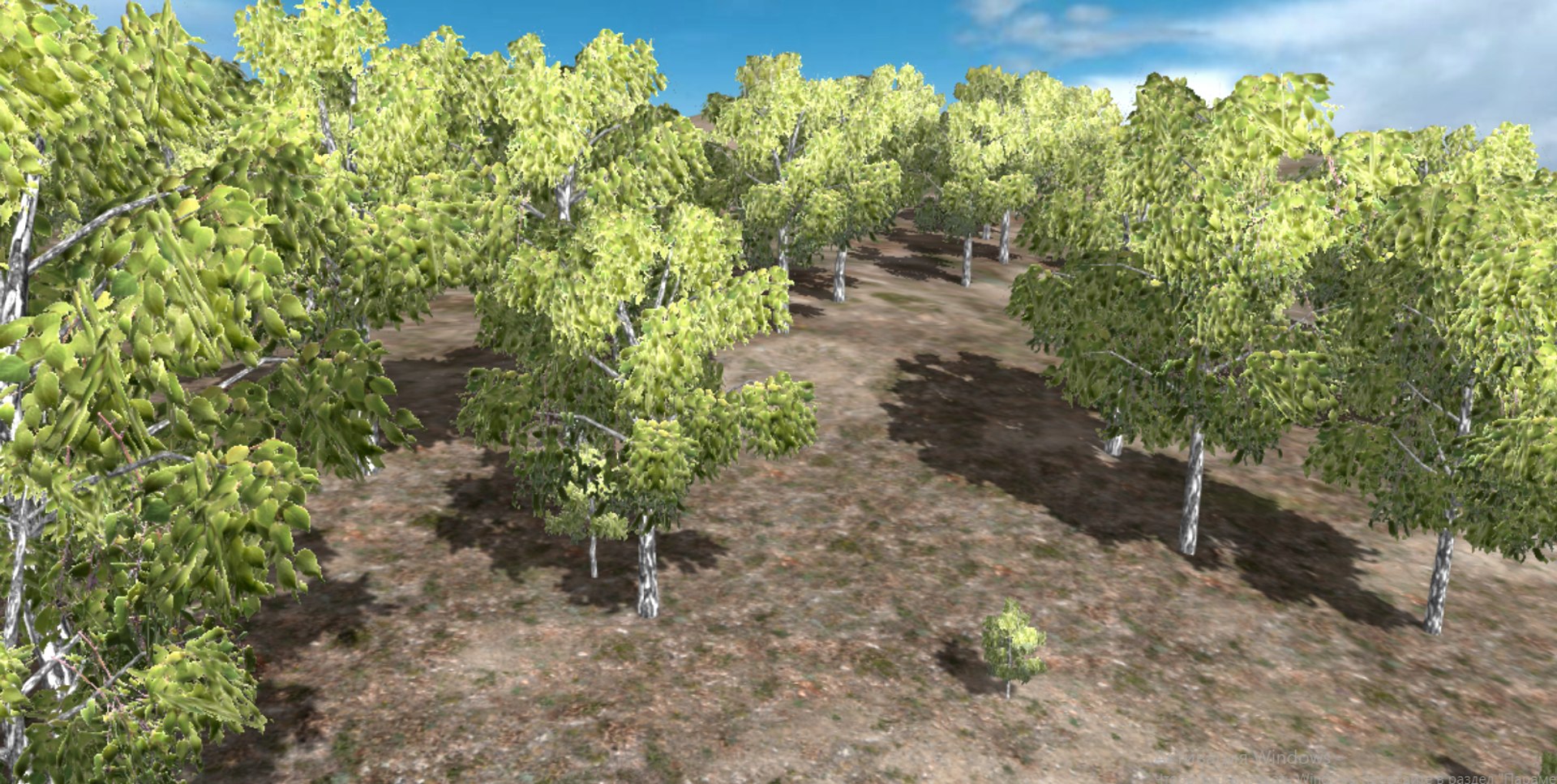 Birch Tree PBR Low-poly Game Ready 3D Model - TurboSquid 1962371