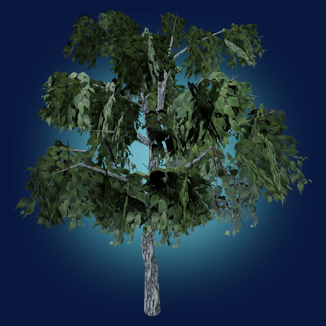 Birch Tree PBR Low-poly Game Ready 3D Model - TurboSquid 1962371