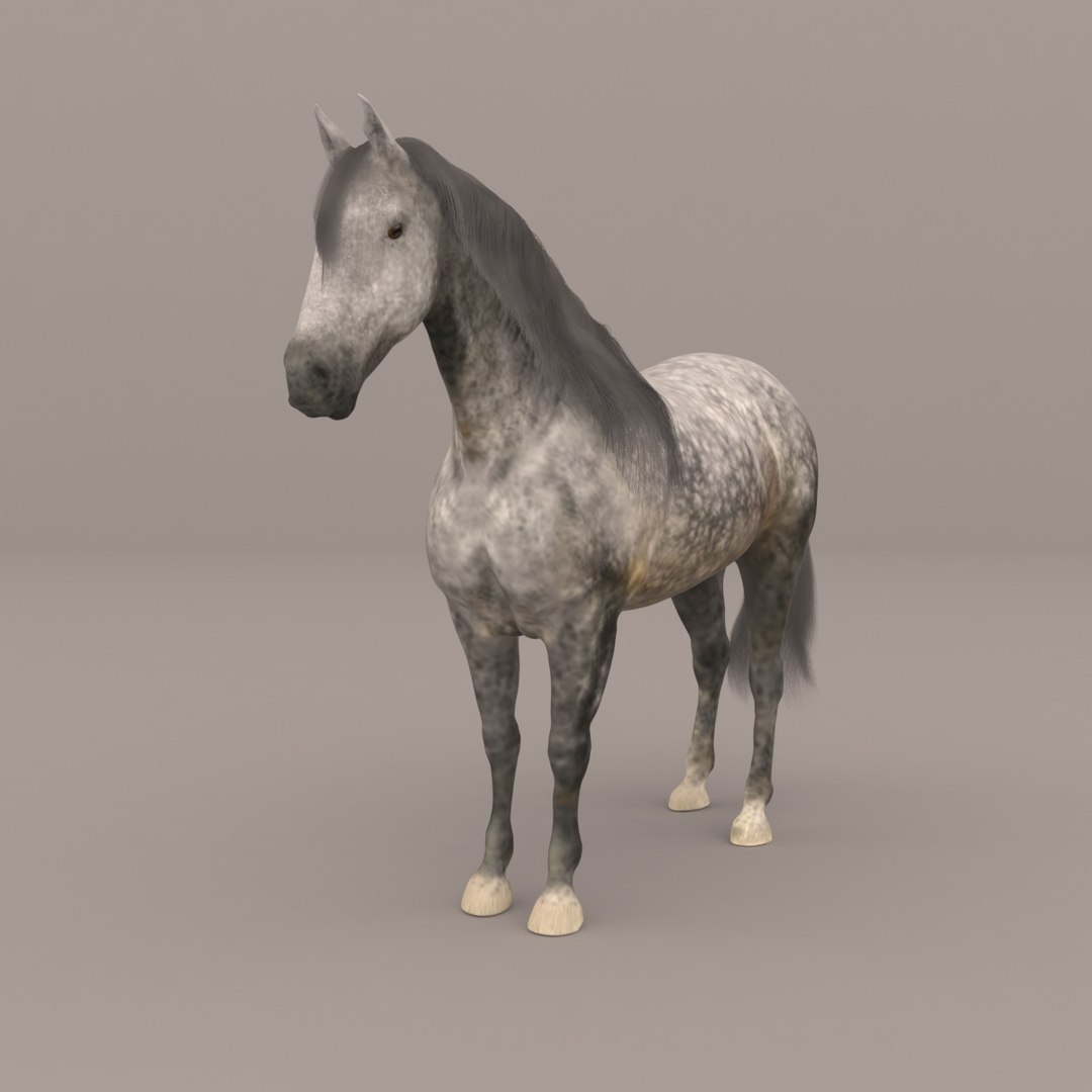 3d Model Horse Andalusian Grey
