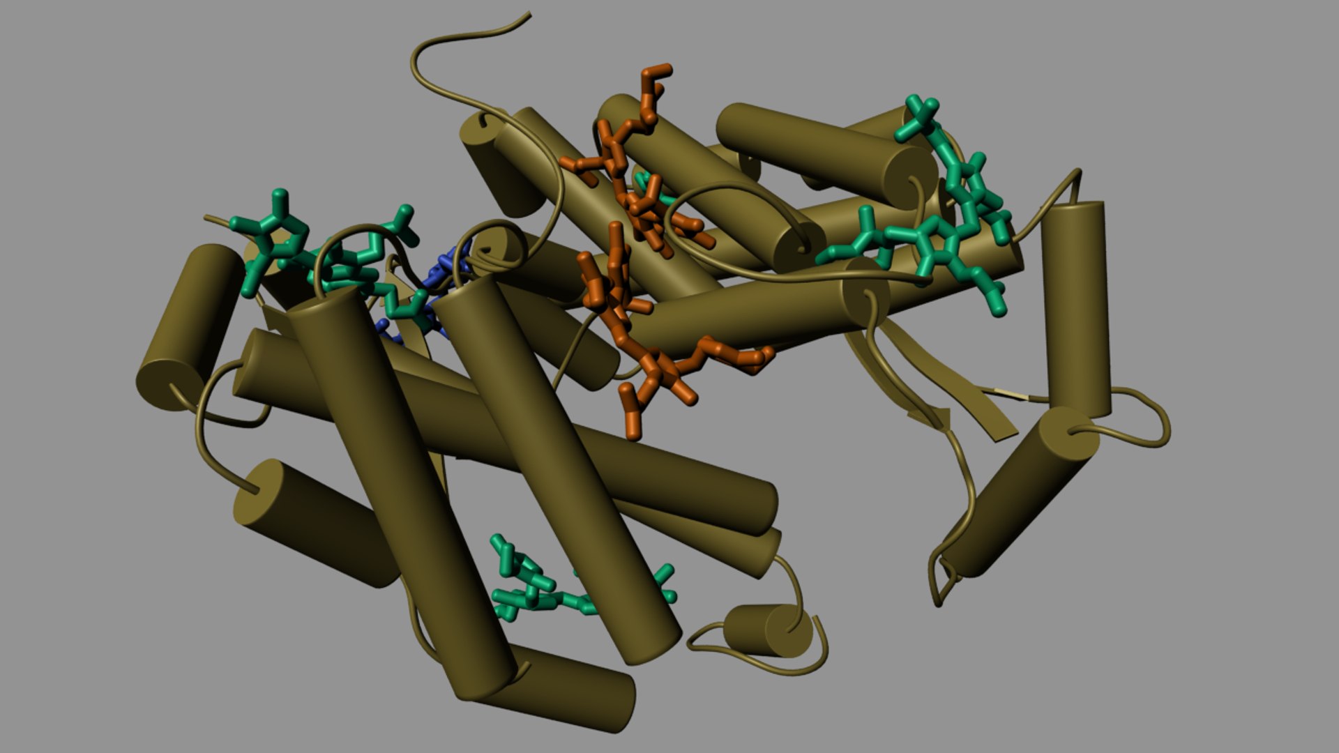 phycocyanin phycobiliprotein allophycocyanin 3d obj