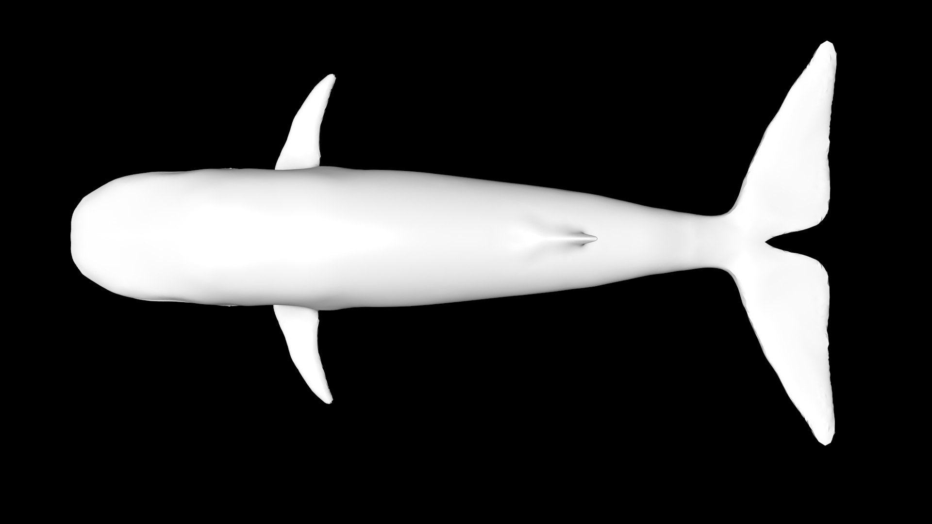 Blue Whale Model - TurboSquid 1261361