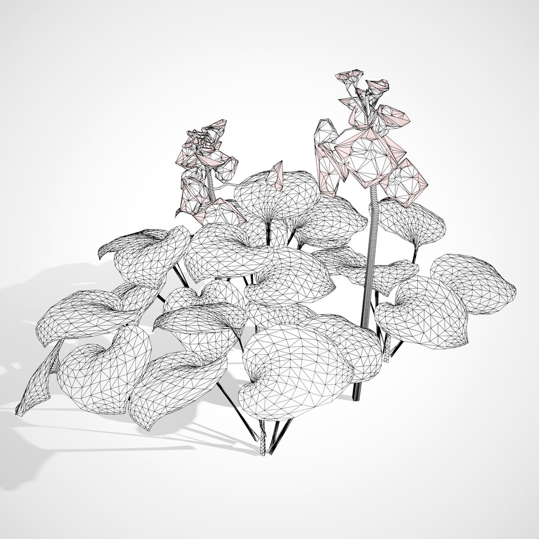 3D Model Realistic Blue Mouse Ears Hosta 3D Model For Every Season ...