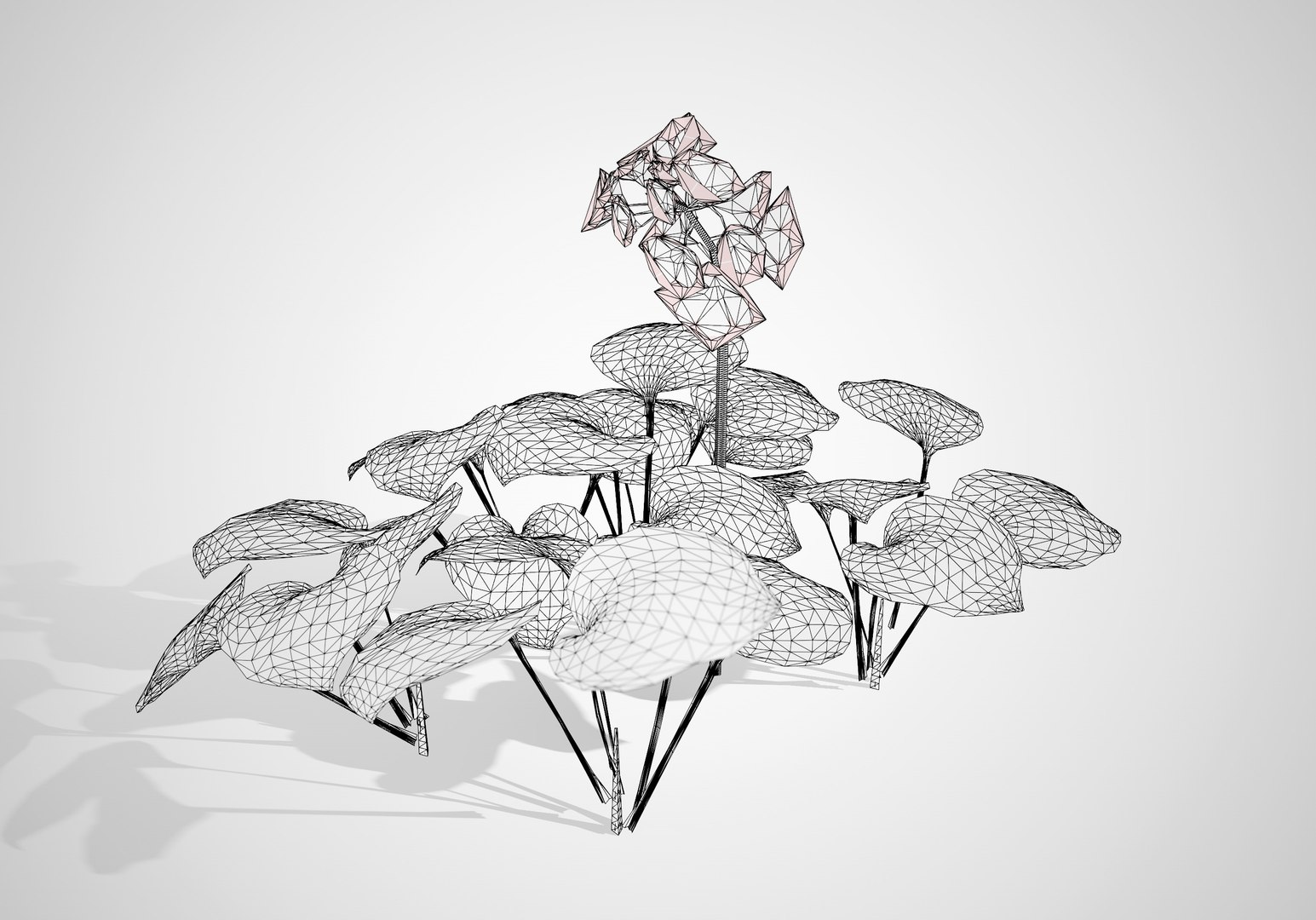 3D Model Realistic Blue Mouse Ears Hosta 3D Model For Every Season ...