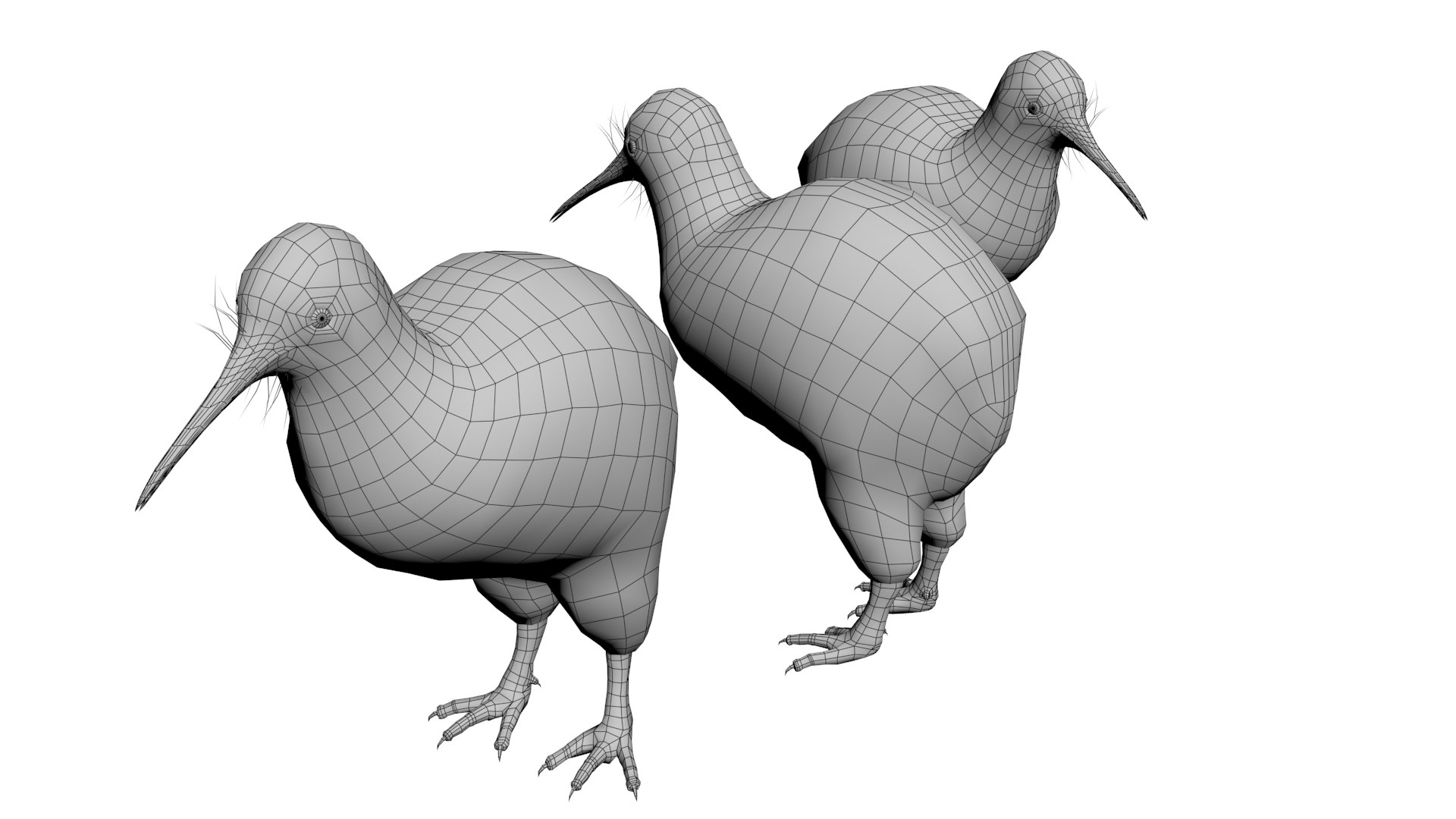 3D Kiwi Model - TurboSquid 1771989