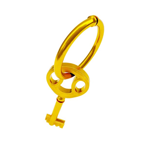 3D Antique gold key 3d model - TurboSquid 1976908