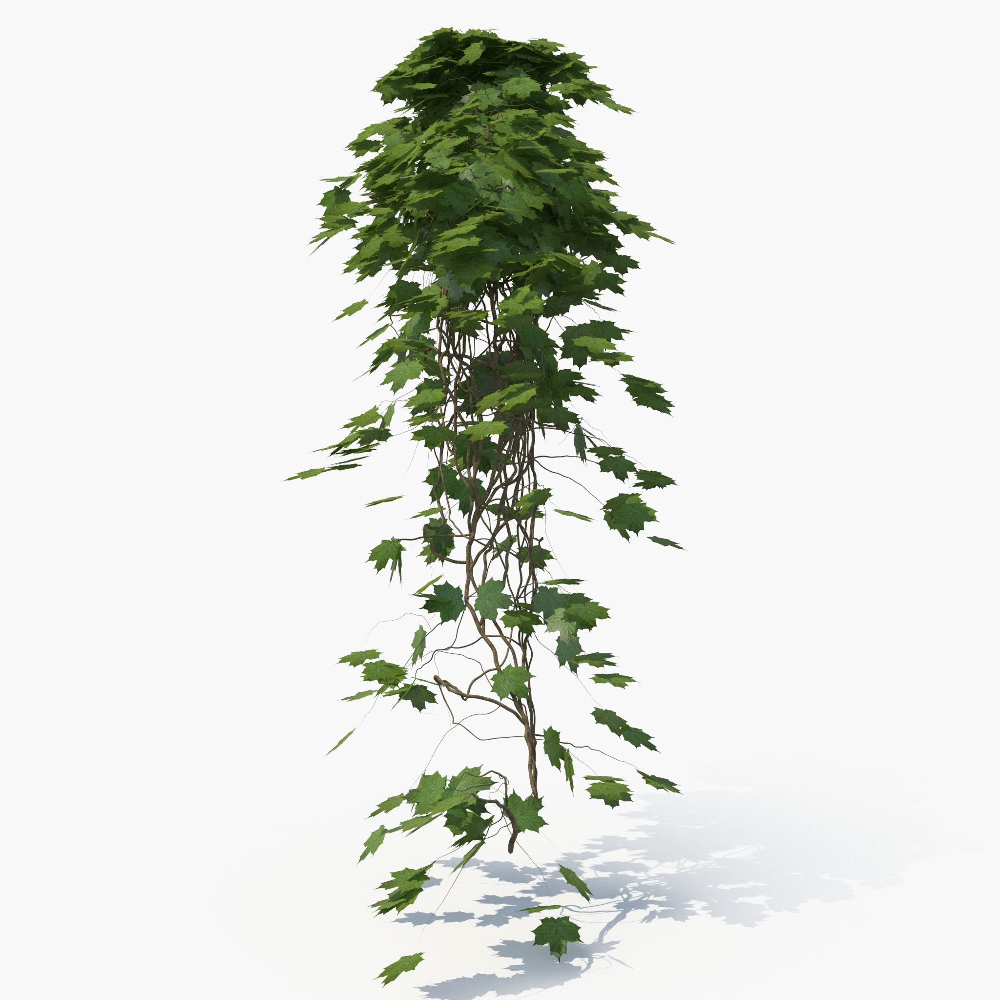 Realistic plant 3D model | 1148253 | TurboSquid