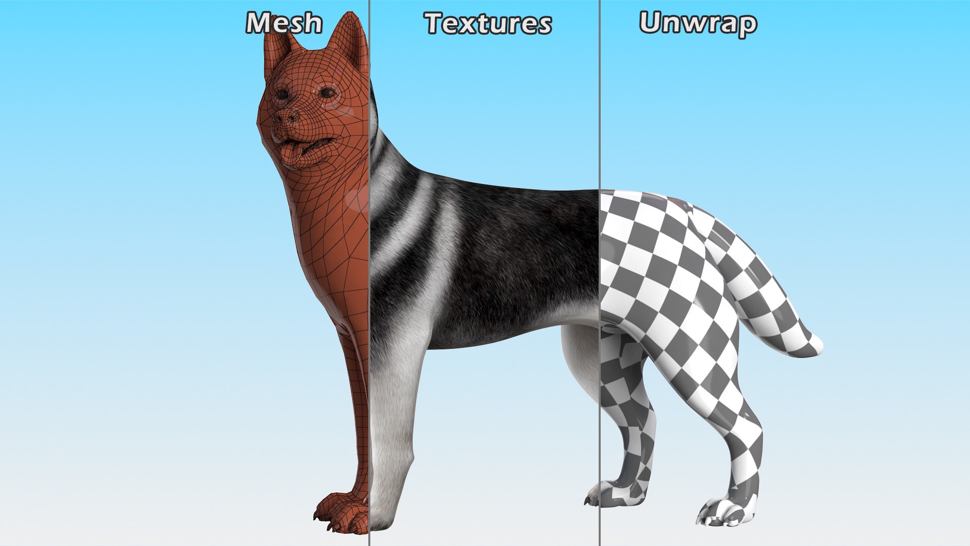 Siberian Husky Black Standing Pose 3D Model - TurboSquid 1805412