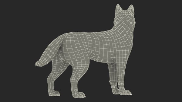 Siberian Husky Black Standing Pose 3D model - TurboSquid 1805412