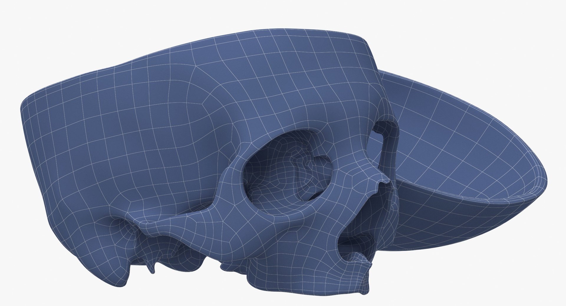 Human Skull Cranial 02 3D Model - TurboSquid 1556069