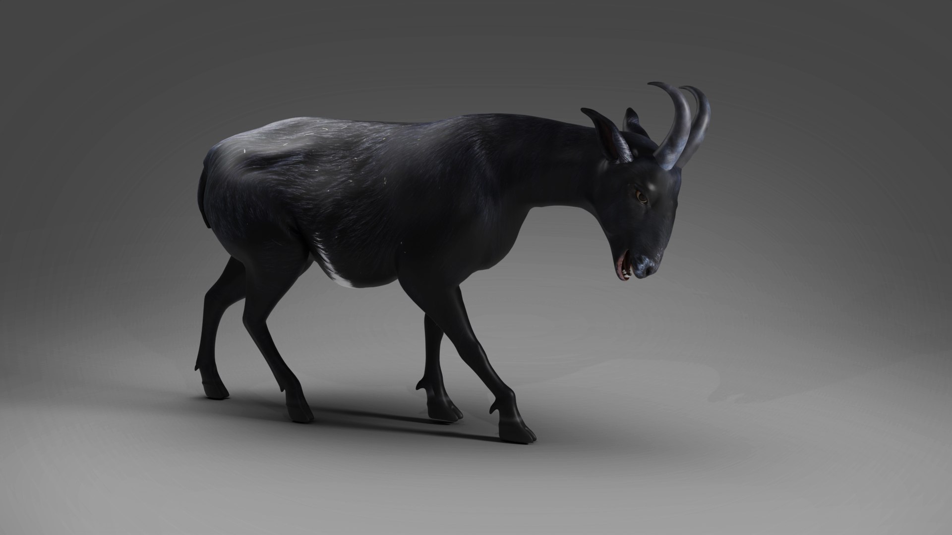 3D Goat 05 Rigged And Animation Model - TurboSquid 2010265
