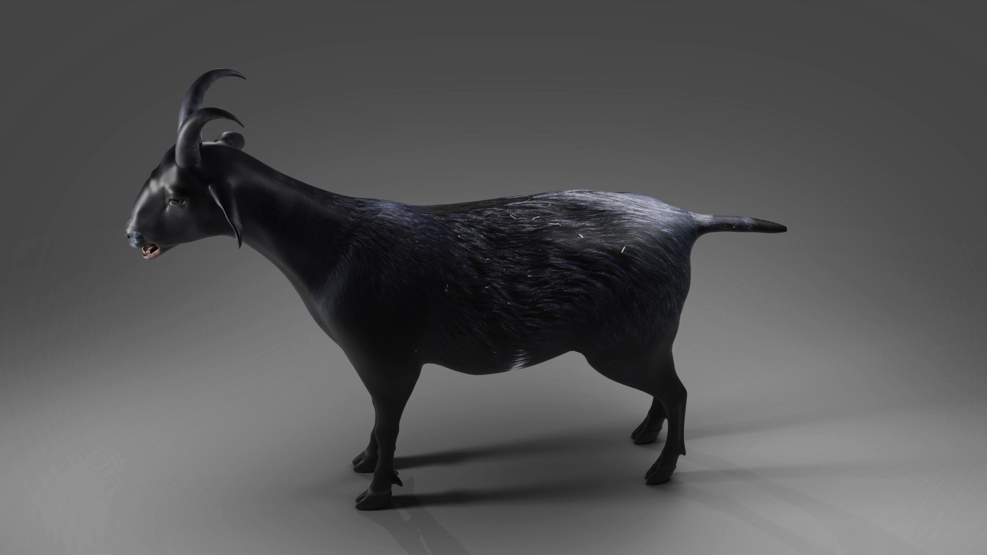 3D Goat 05 Rigged And Animation Model - TurboSquid 2010265