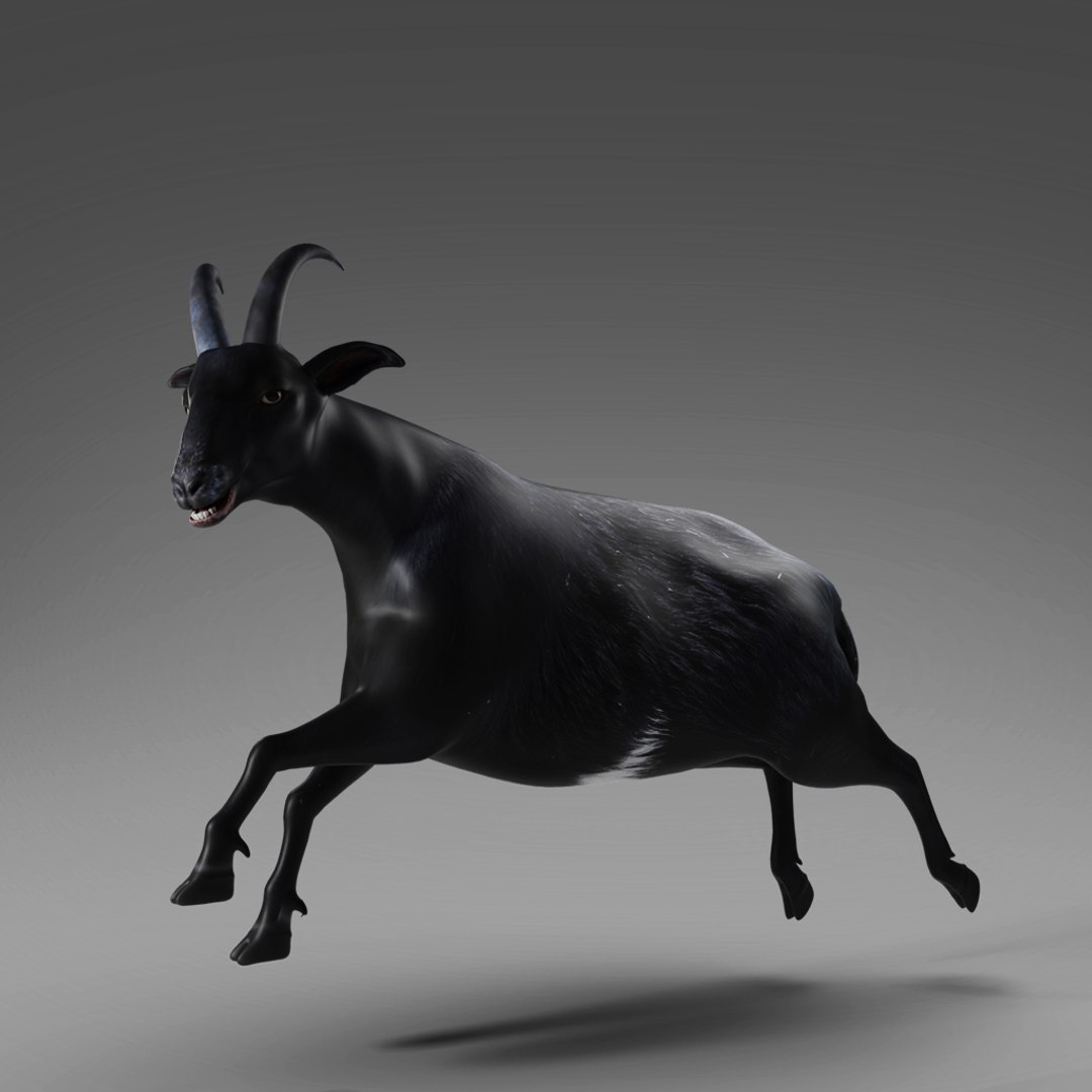 3D Goat 05 Rigged and Animation model - TurboSquid 2010265