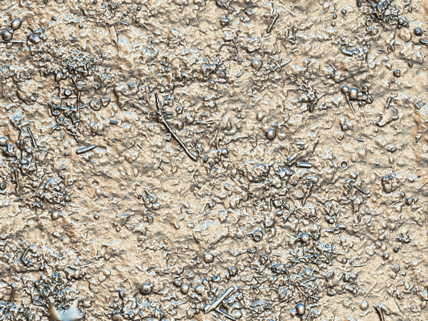 Forest Ground 16k Hd Ma