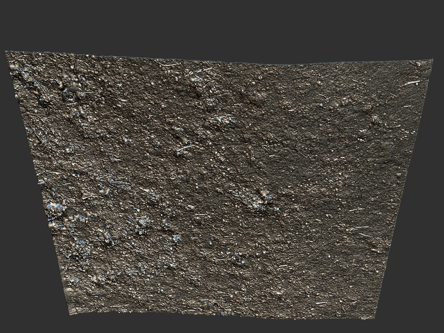 Forest Ground 16k Hd Ma