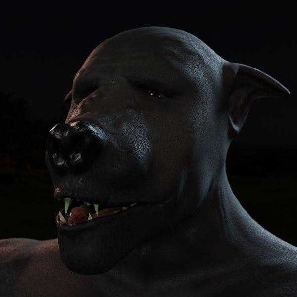 modelo 3d Hombre lobo completamente equipado - TurboSquid 1977386