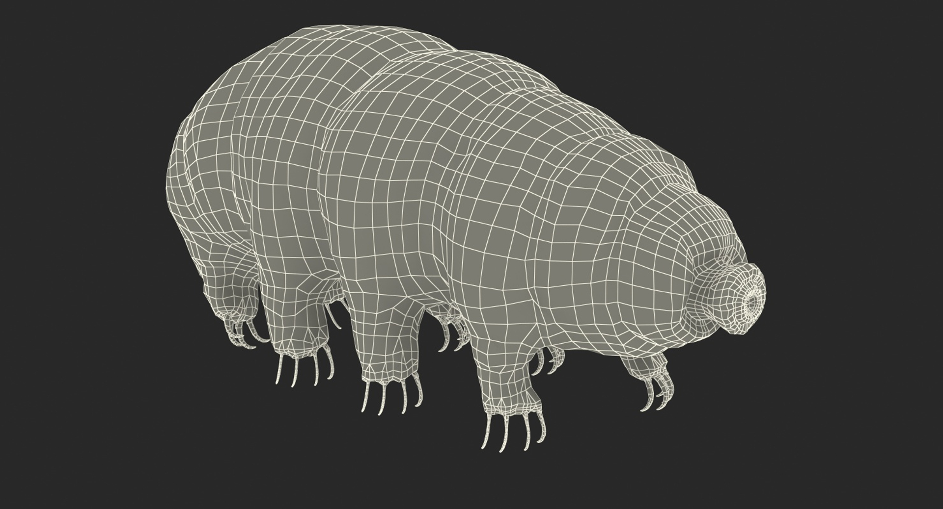 Tardigrade Rigged 3D - TurboSquid 1414104