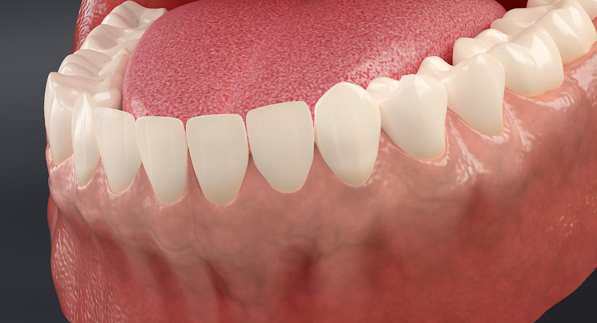 3D Anatomy Dental - TurboSquid 1347719