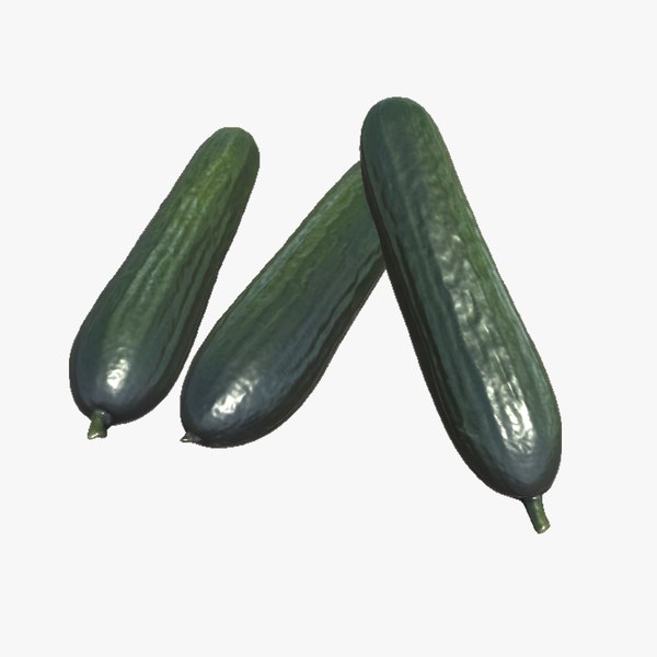 modelo 3d Scanned Cucumber - TurboSquid 1963157