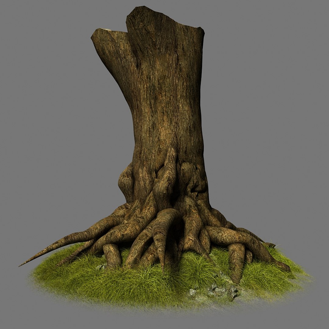 Tree Root Trunk 3d Model