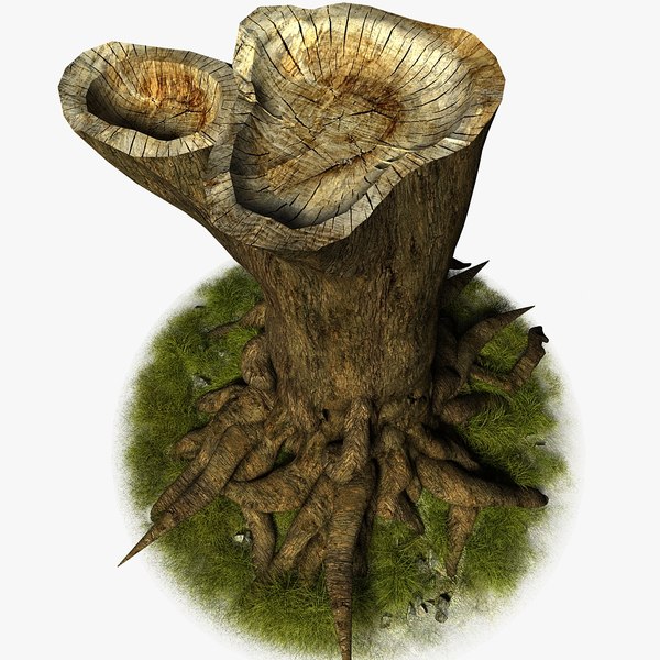 tree root trunk 3d model