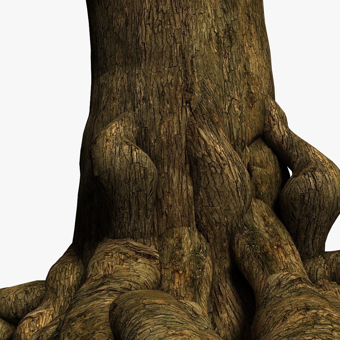 Tree Root Trunk 3d Model