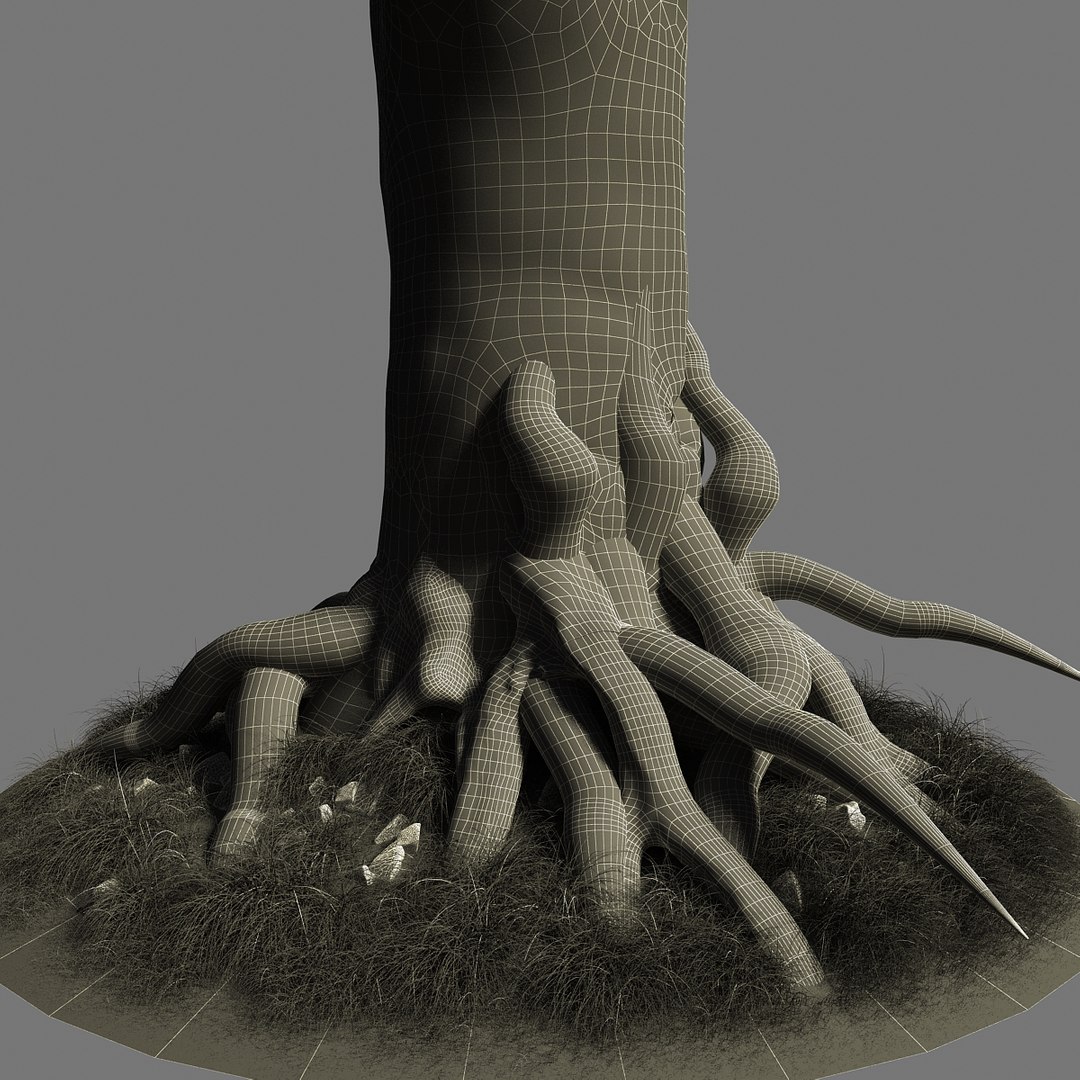 Tree Root Trunk 3d Model
