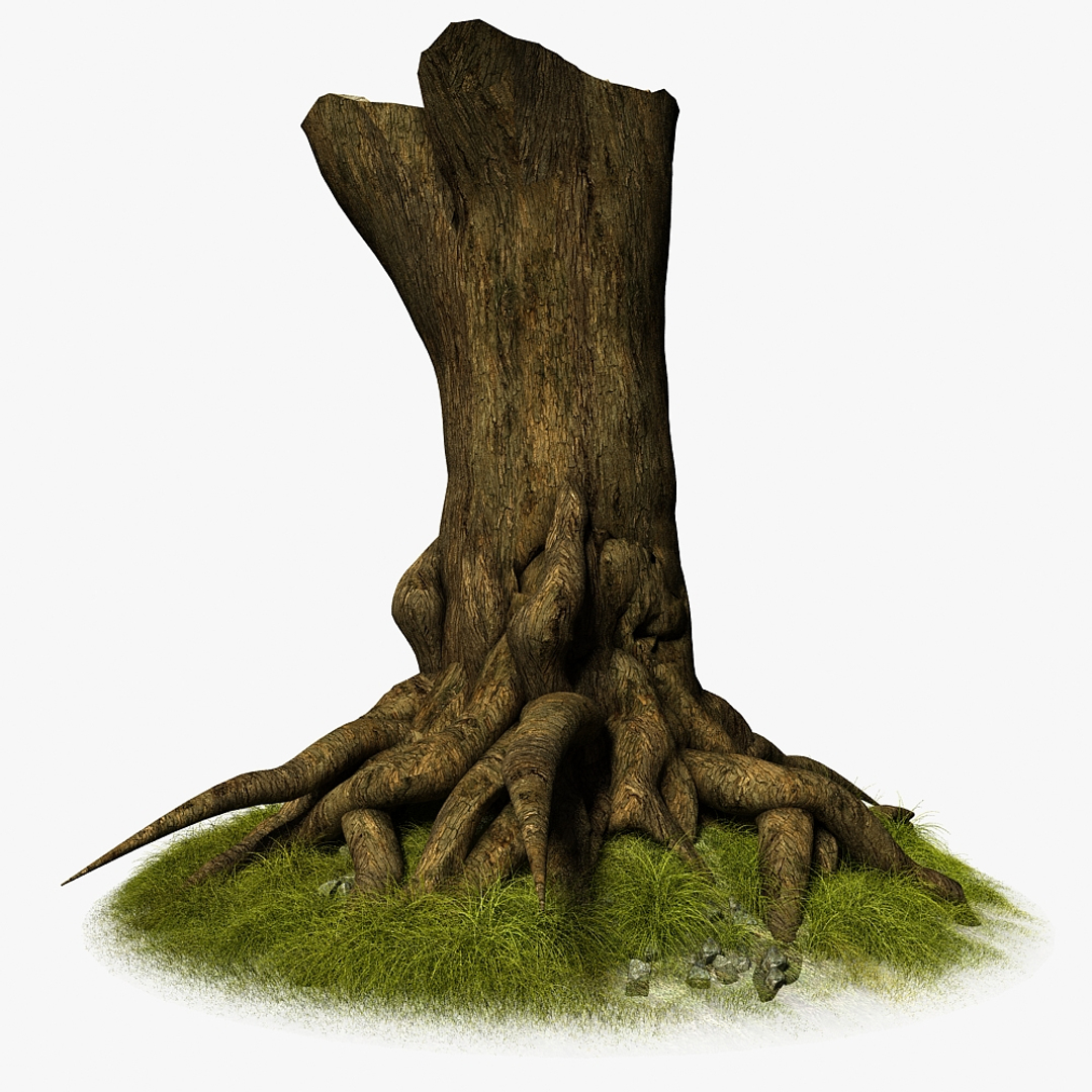 Tree Root Trunk 3d Model