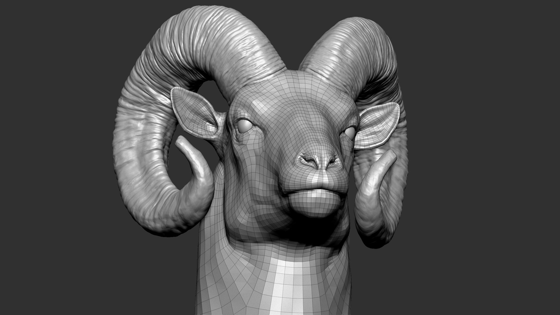 Bighorn Sheep Muflon Head 3D Model - TurboSquid 1812497