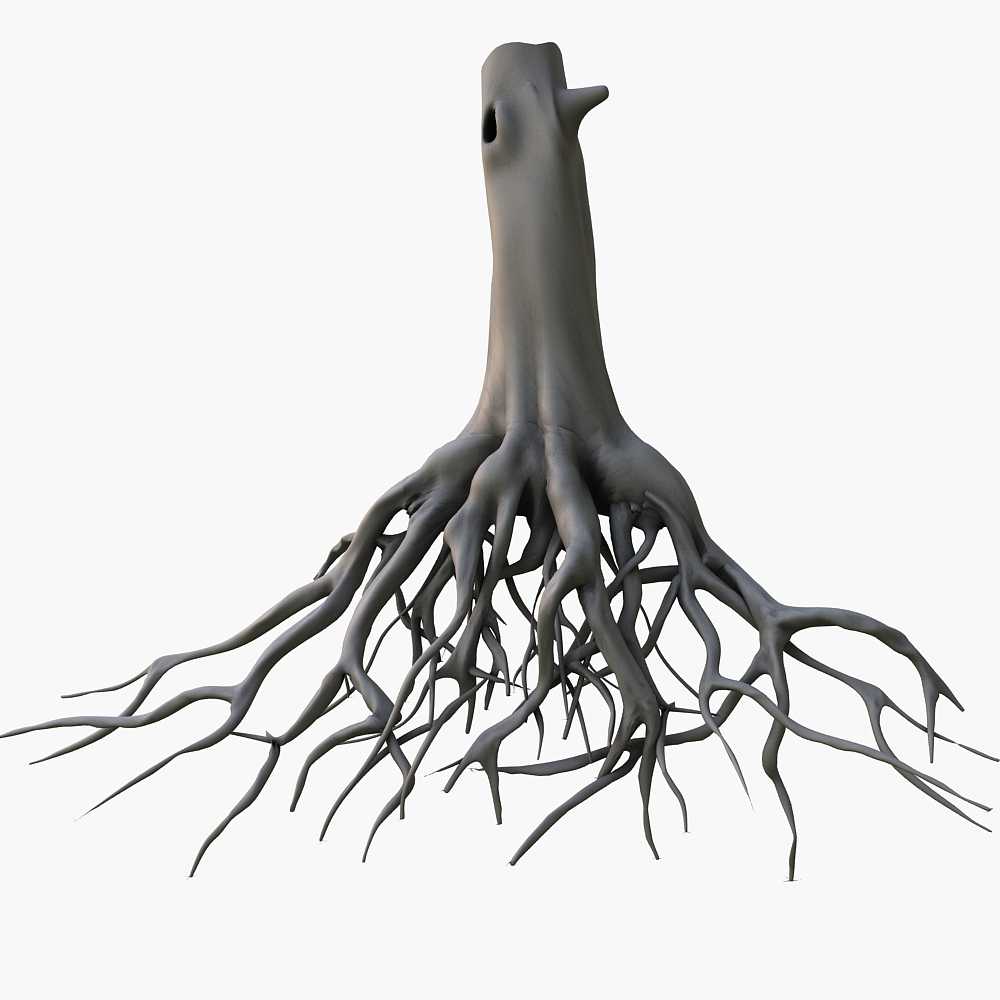 tree roots 3d model