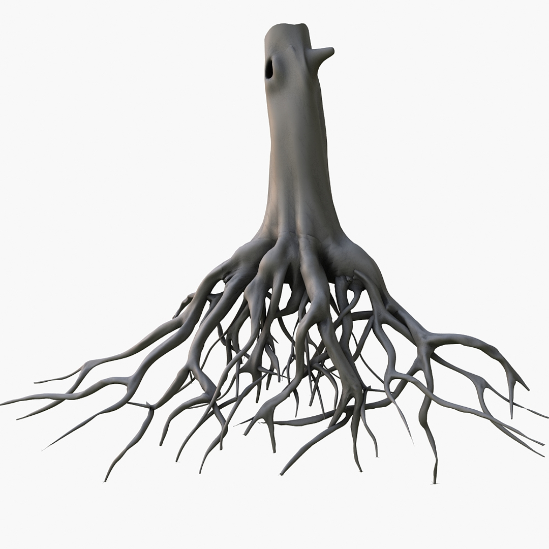tree roots 3d model
