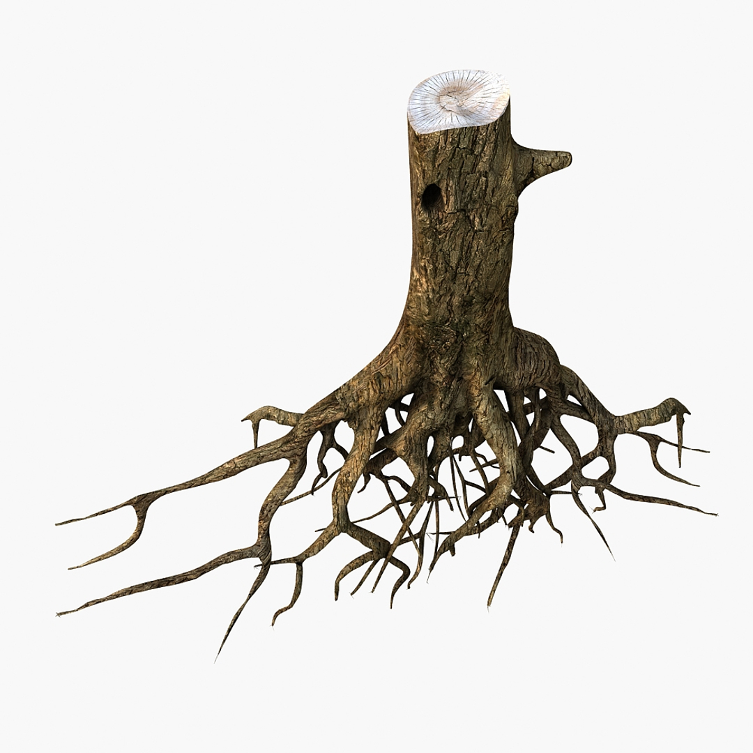 tree roots 3d model