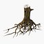 Tree Roots 3d Model