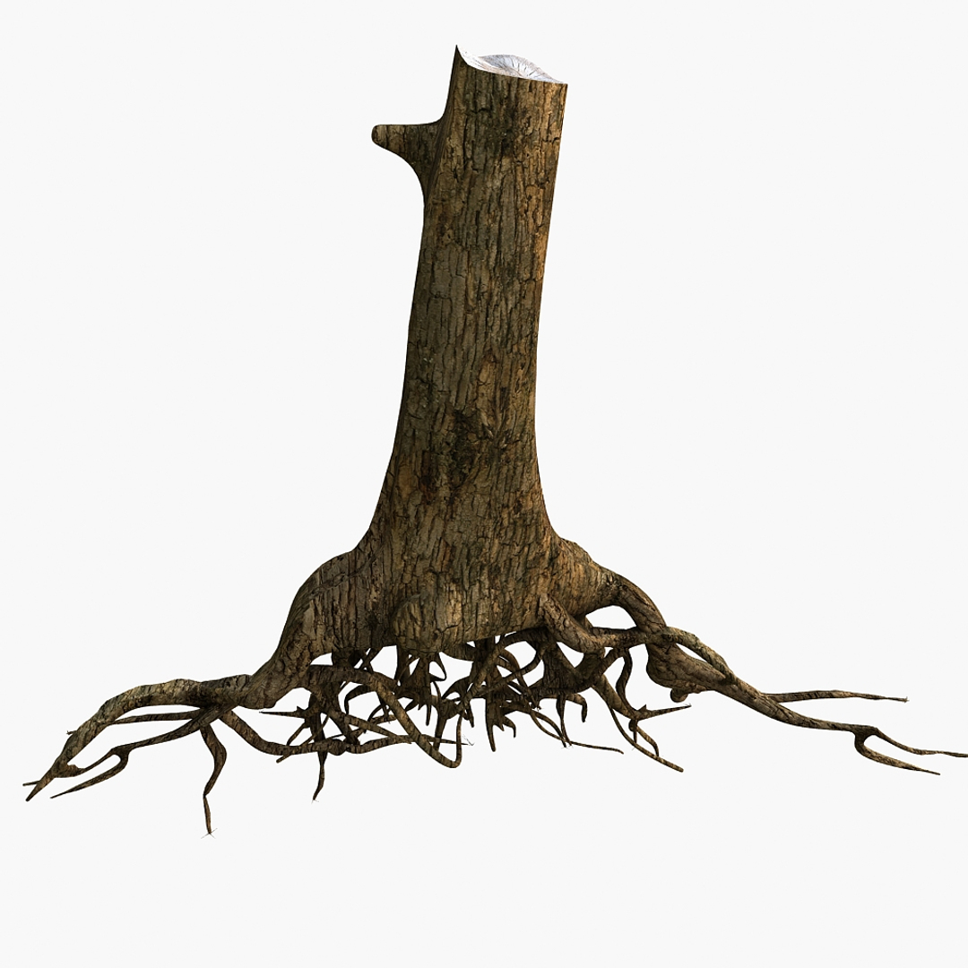 tree roots 3d model