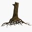 Tree Roots 3d Model