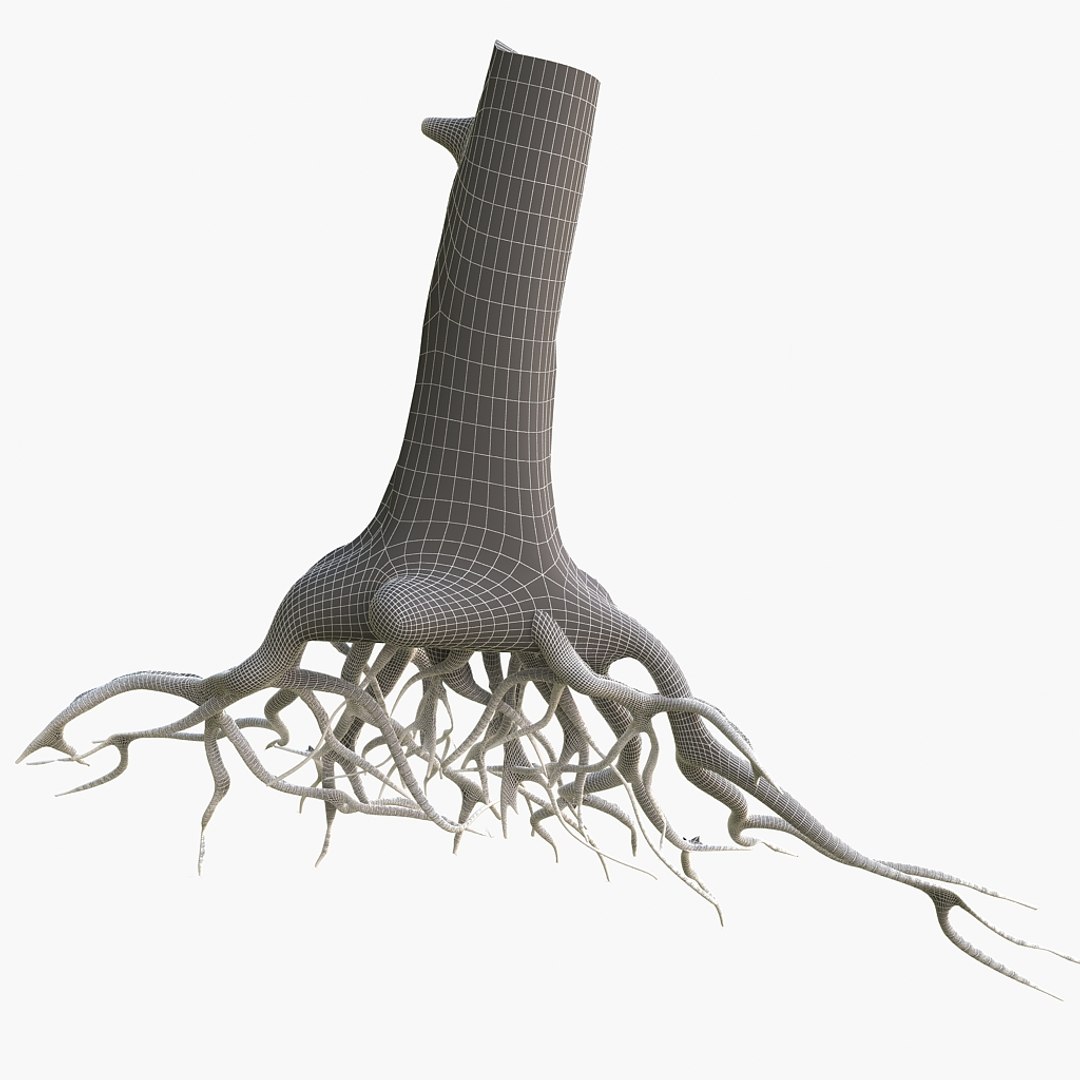 Tree Roots 3d Model