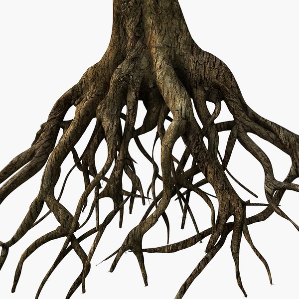 tree roots 3d model