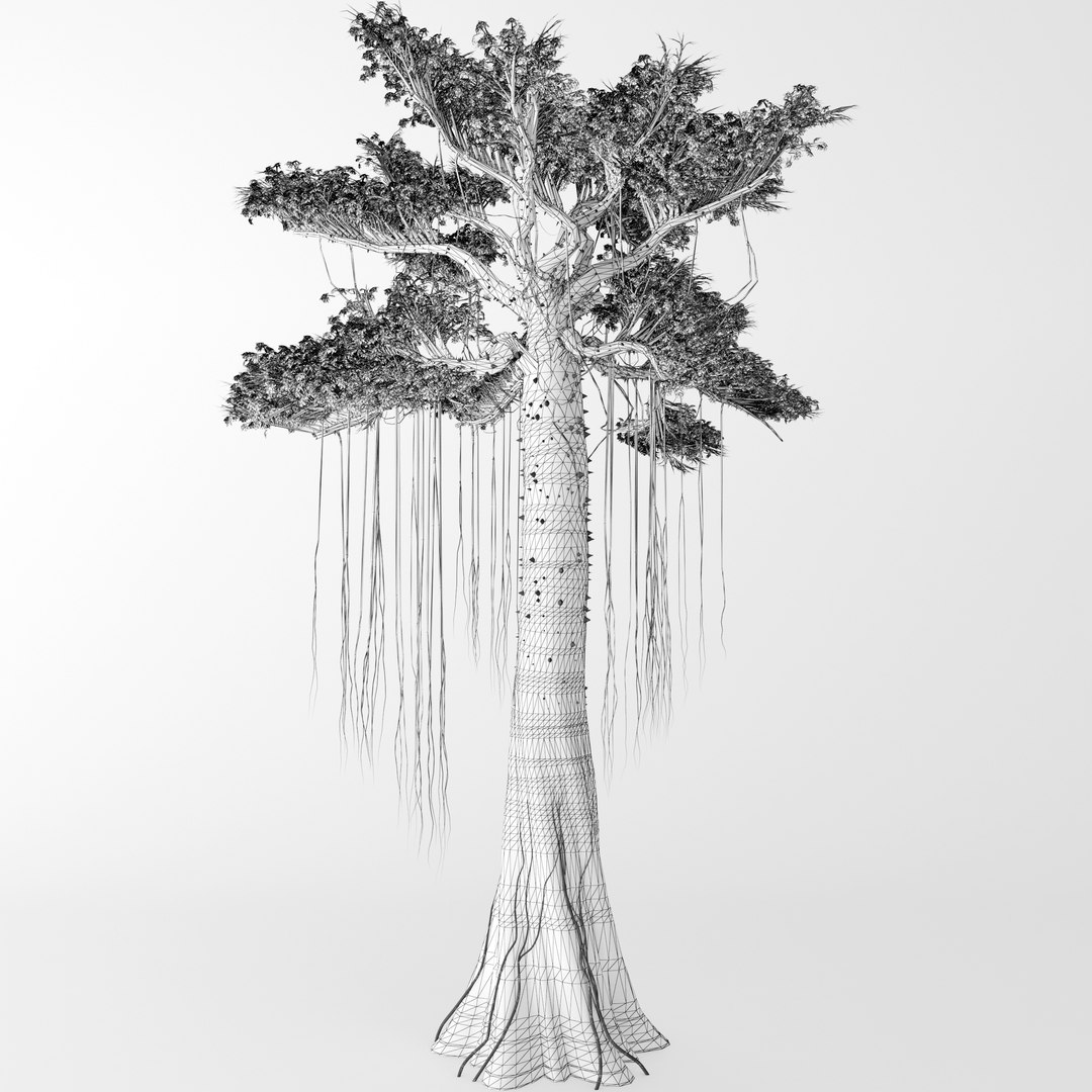 3d Model Of Kapok