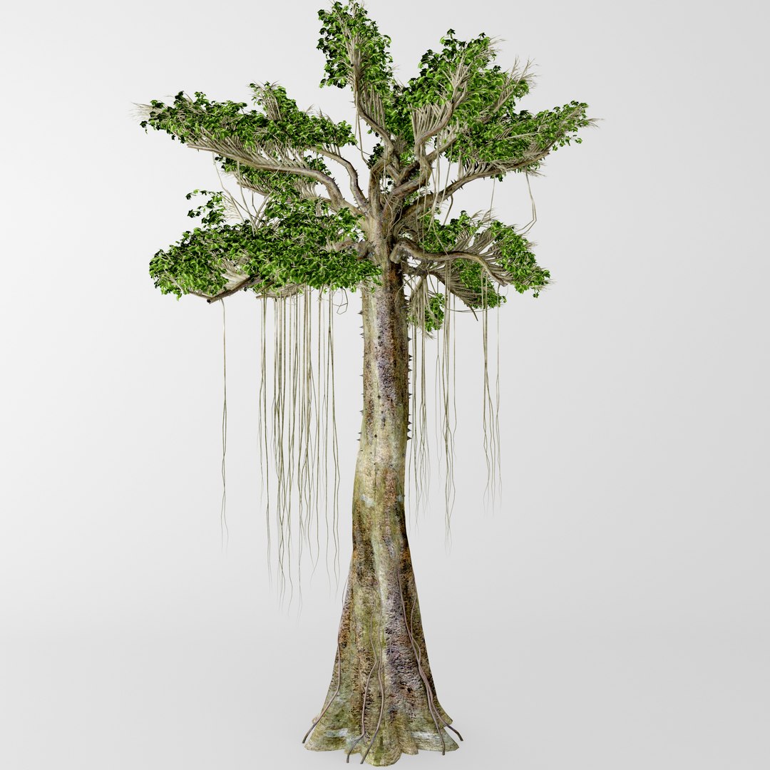 3d Model Of Kapok