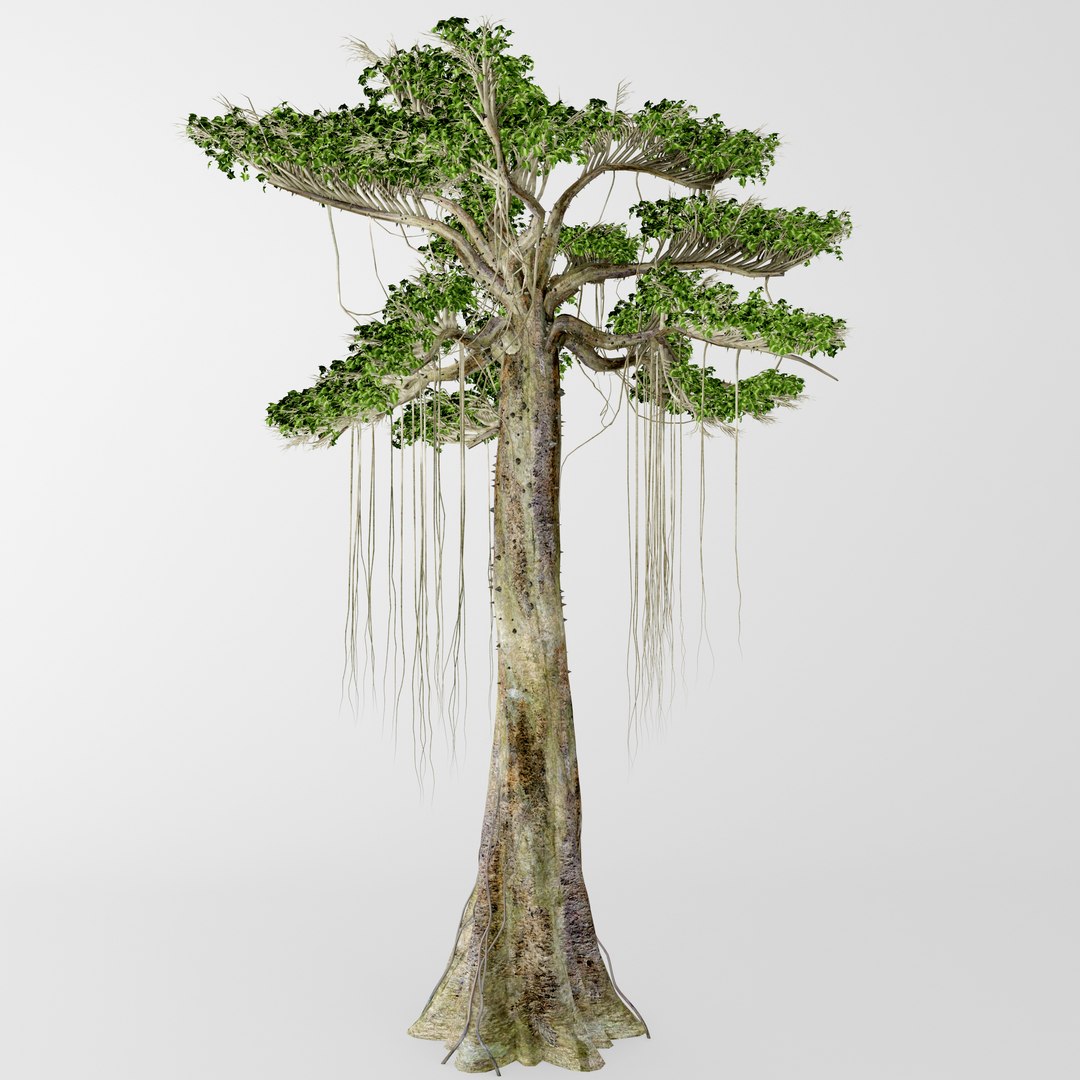 3d Model Of Kapok