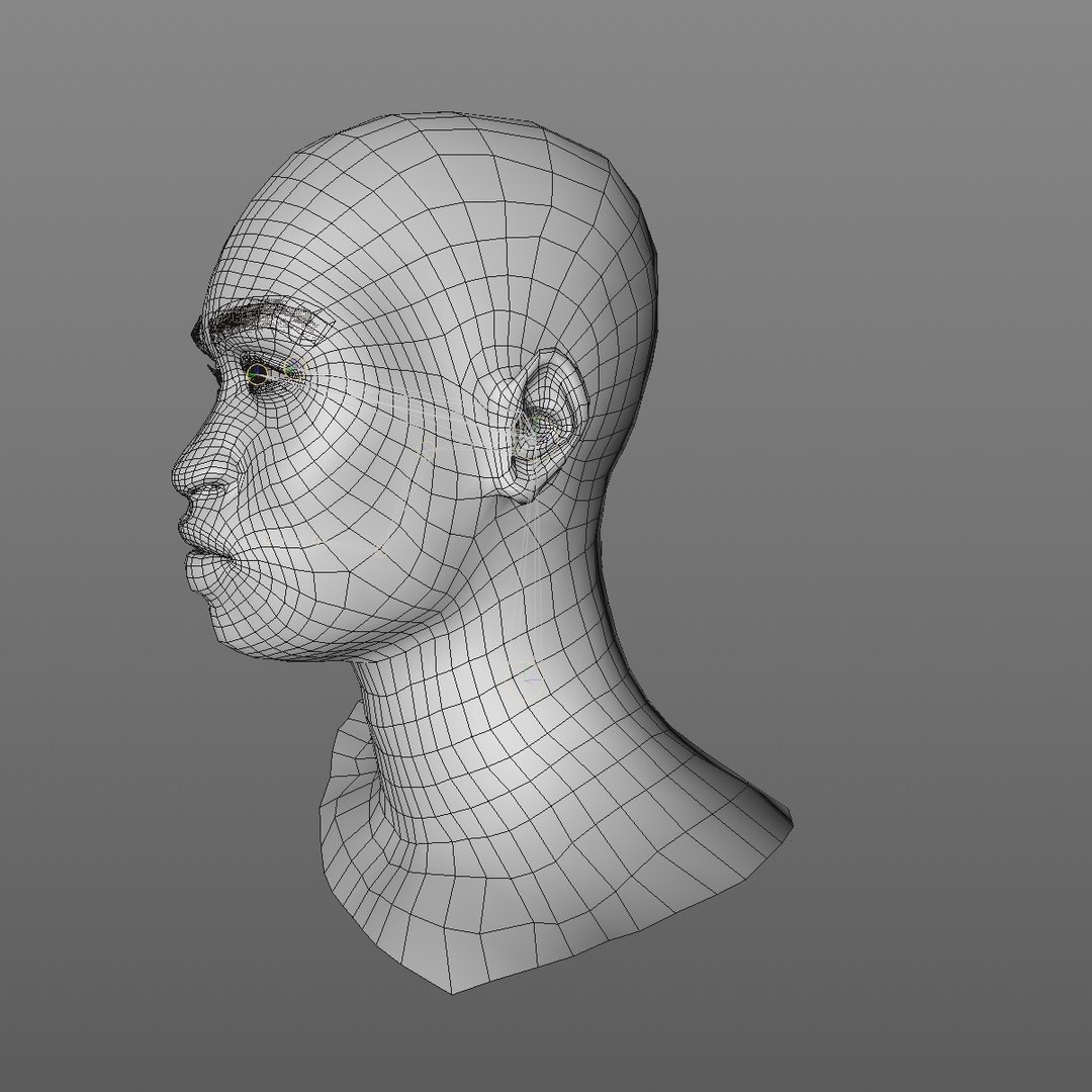 3D realistic head base mesh model - TurboSquid 1438194