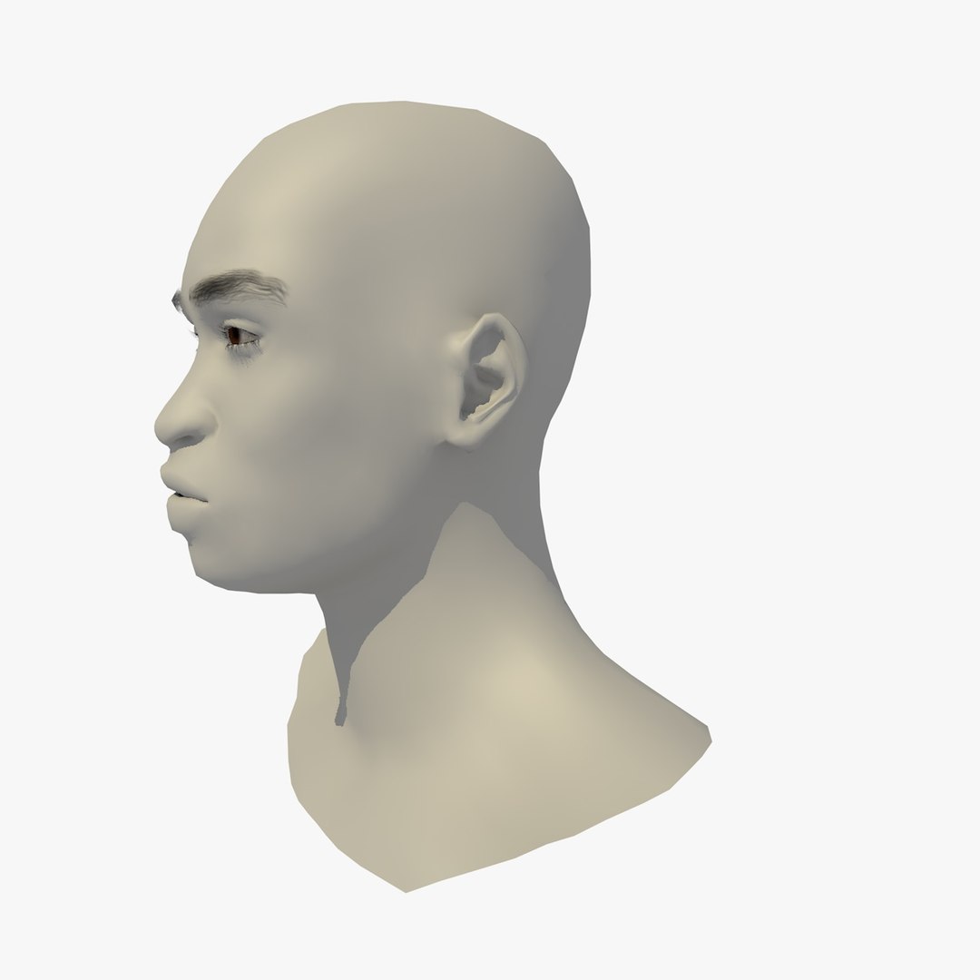 3D Realistic Head Base Mesh Model - TurboSquid 1438194