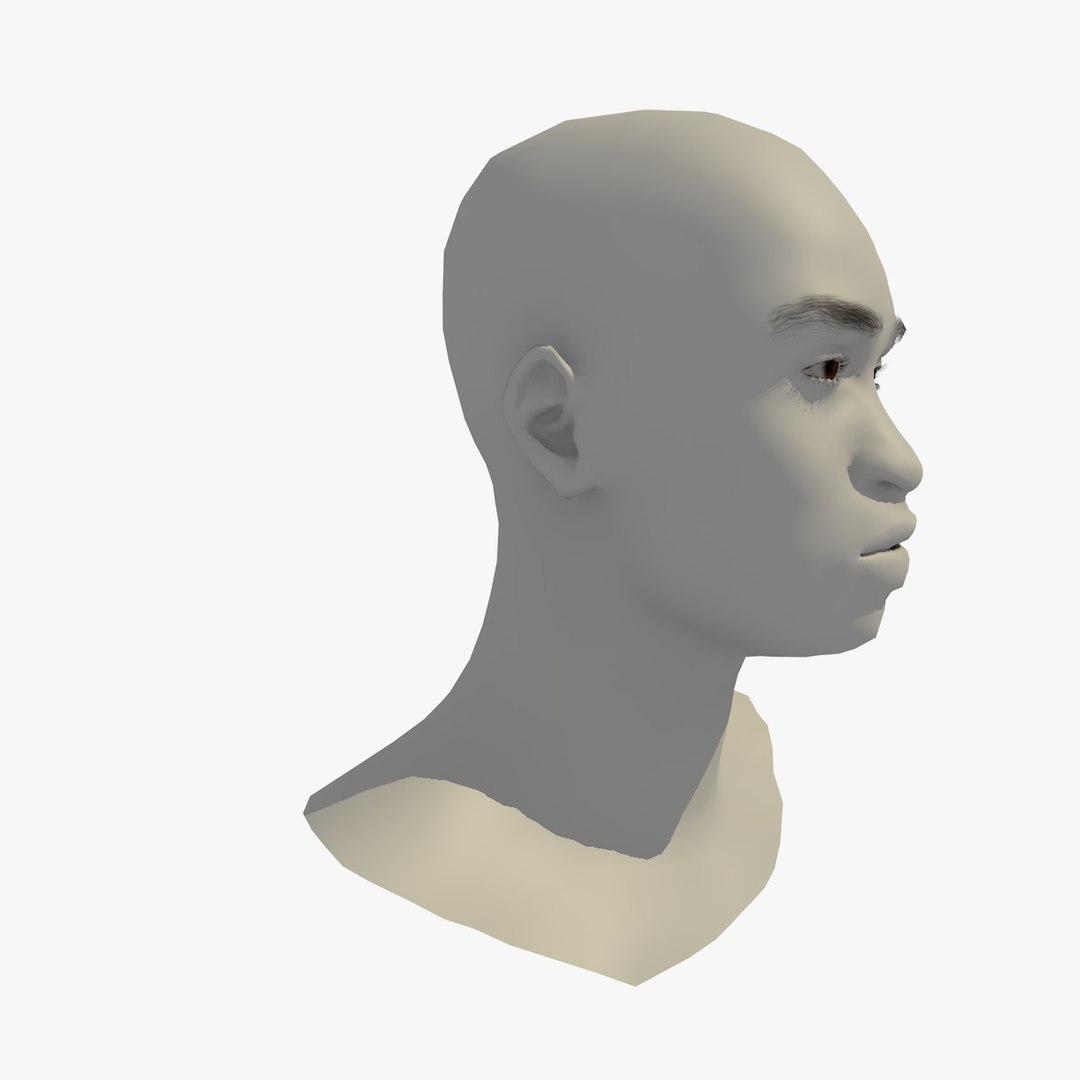 3D Realistic Head Base Mesh Model - TurboSquid 1438194