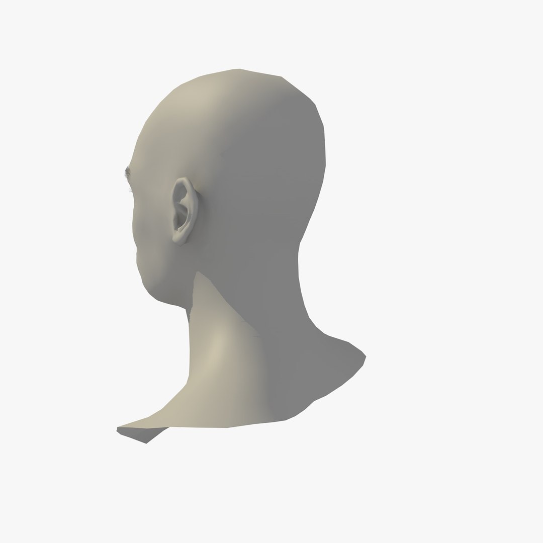 3D Realistic Head Base Mesh Model - TurboSquid 1438194