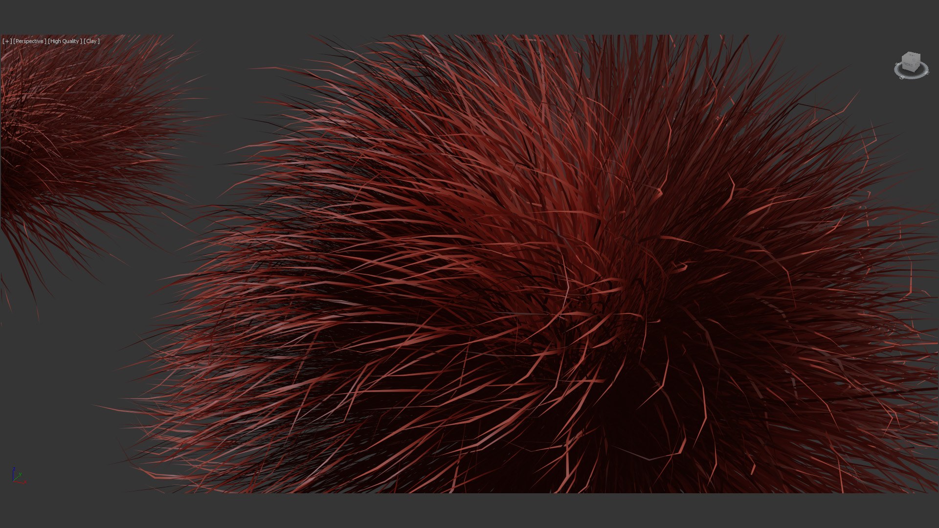 Anemanthele Lessoniana Gossamer Grass 01 3D - TurboSquid 2056640