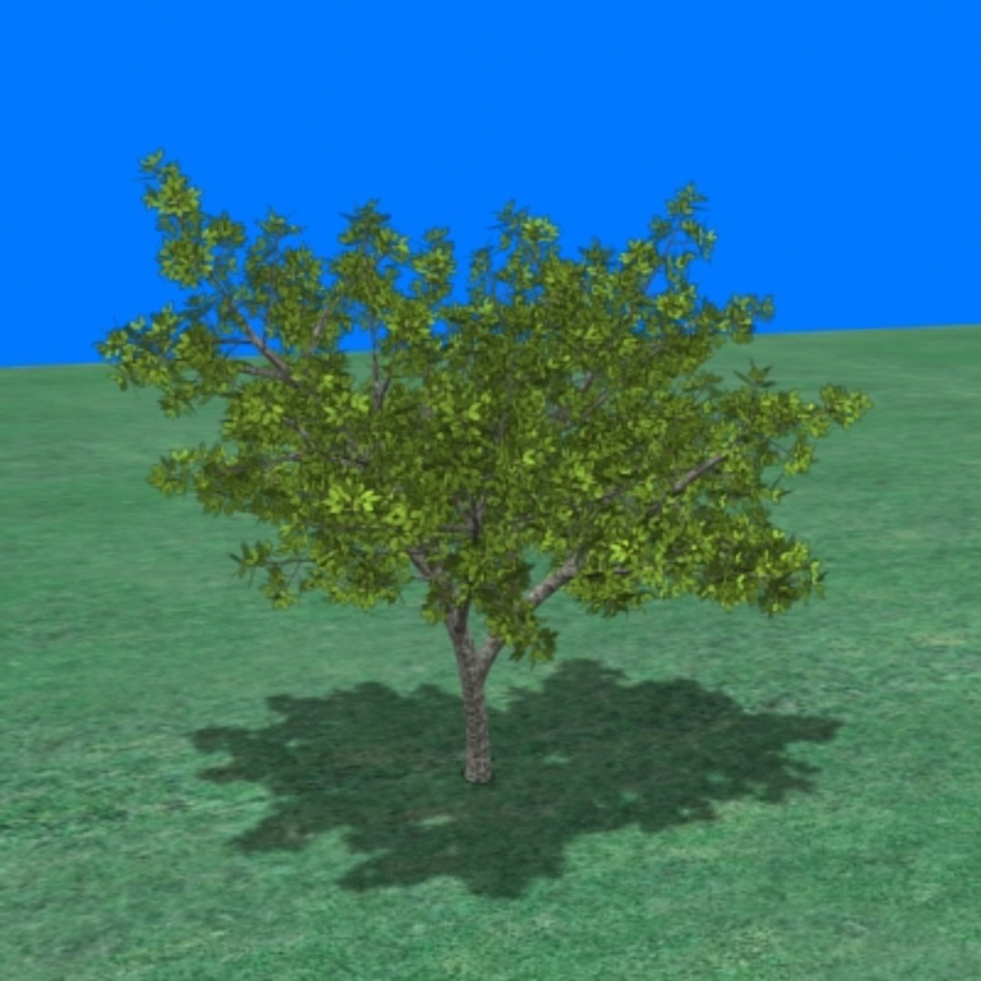 3d bush small tree model