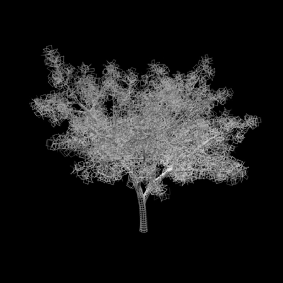 3d bush small tree model