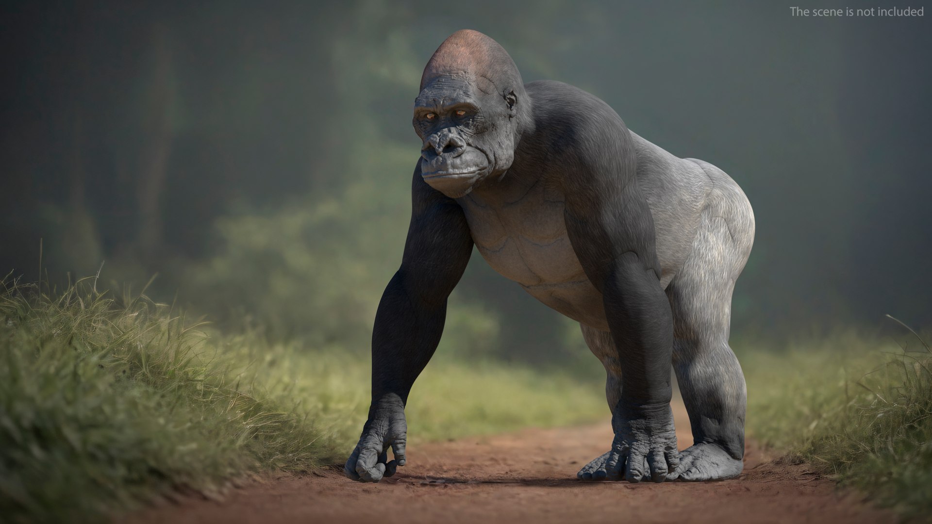3D Eastern Gorilla Walking Pose - TurboSquid 2193915