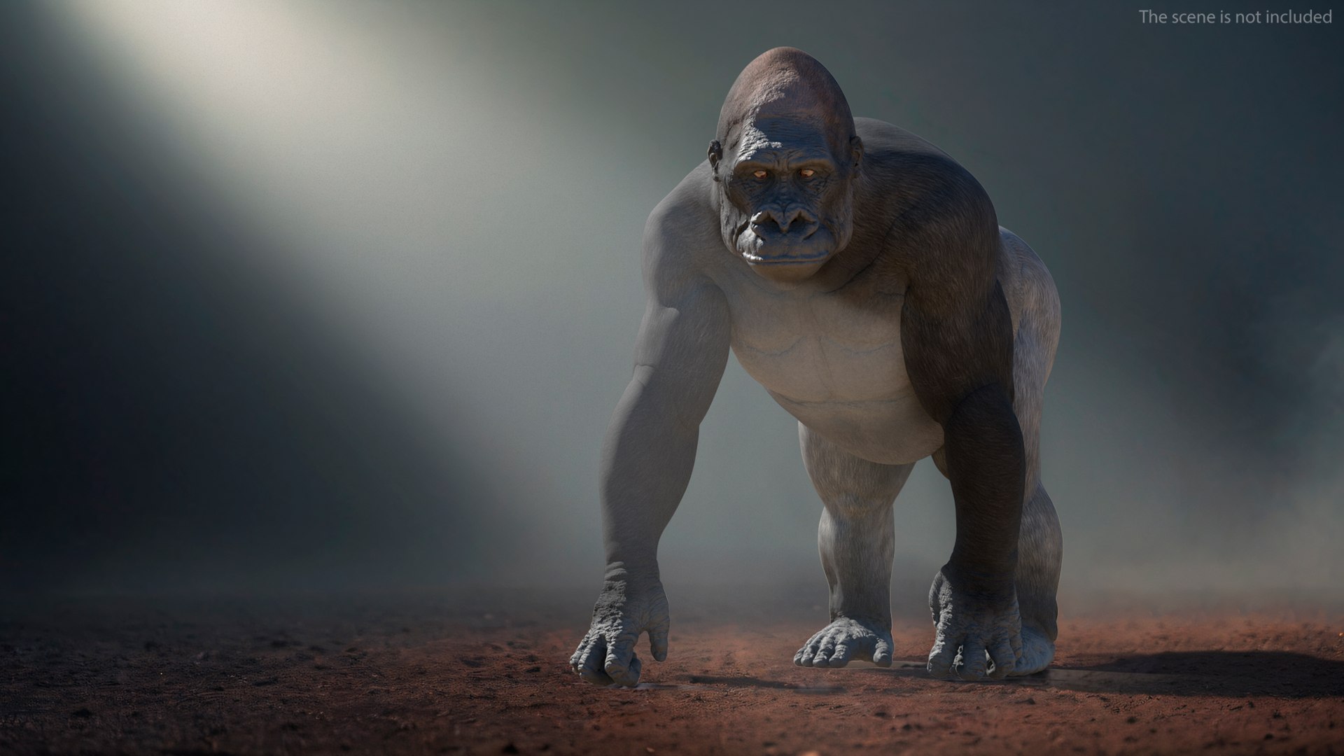 3D Eastern Gorilla Walking Pose - TurboSquid 2193915